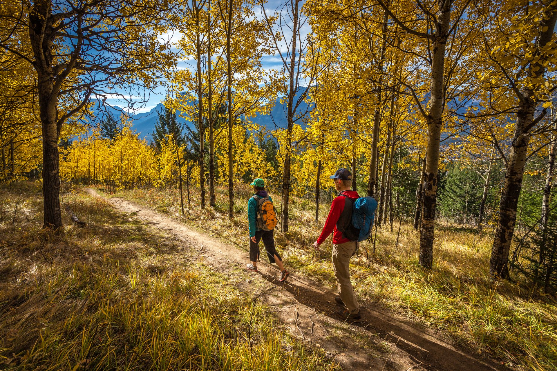 Top 9 Ways to See the Fall Colours in Canmore and Kananaskis