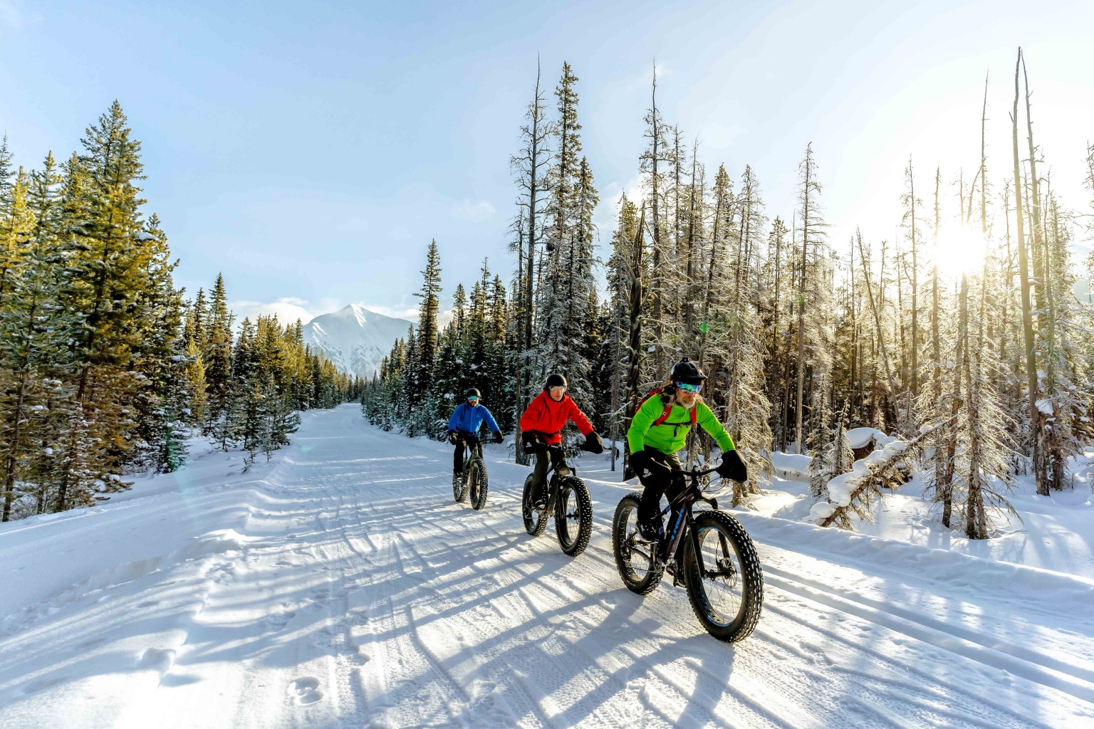 Fat Biking in Canmore