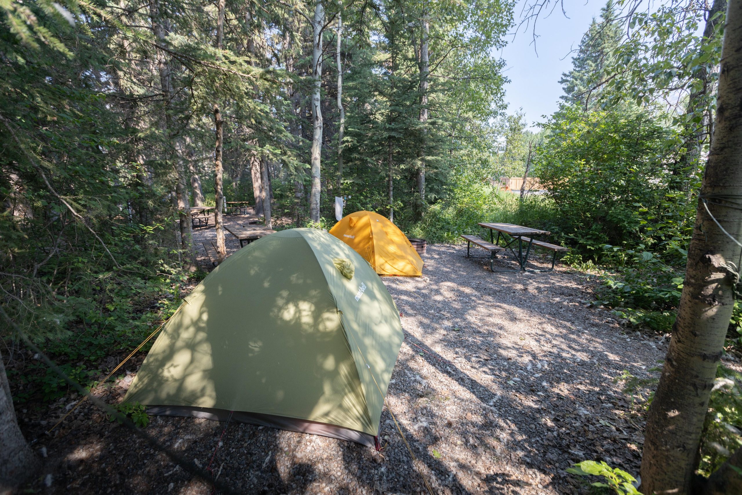 Your Guide to Camping in Canmore and Kananaskis