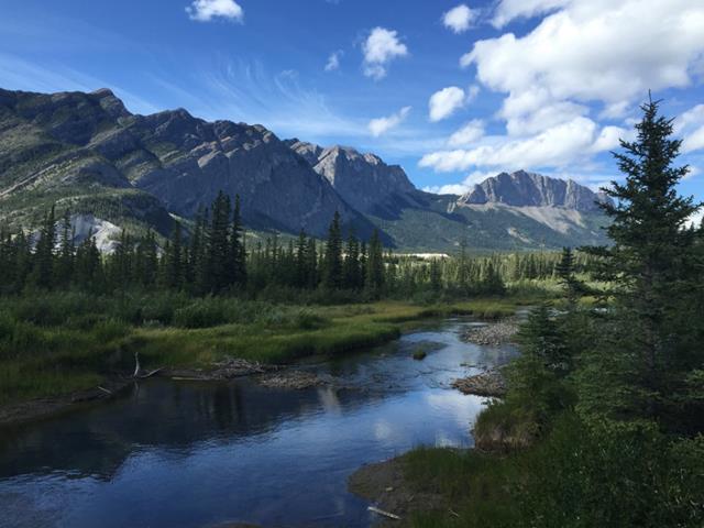 Bow River Campground | Canmore Kananaskis