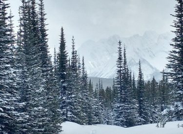 Campgrounds & RV Parks | Canmore Kananaskis