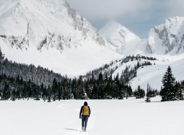 Campgrounds & RV Parks | Canmore Kananaskis