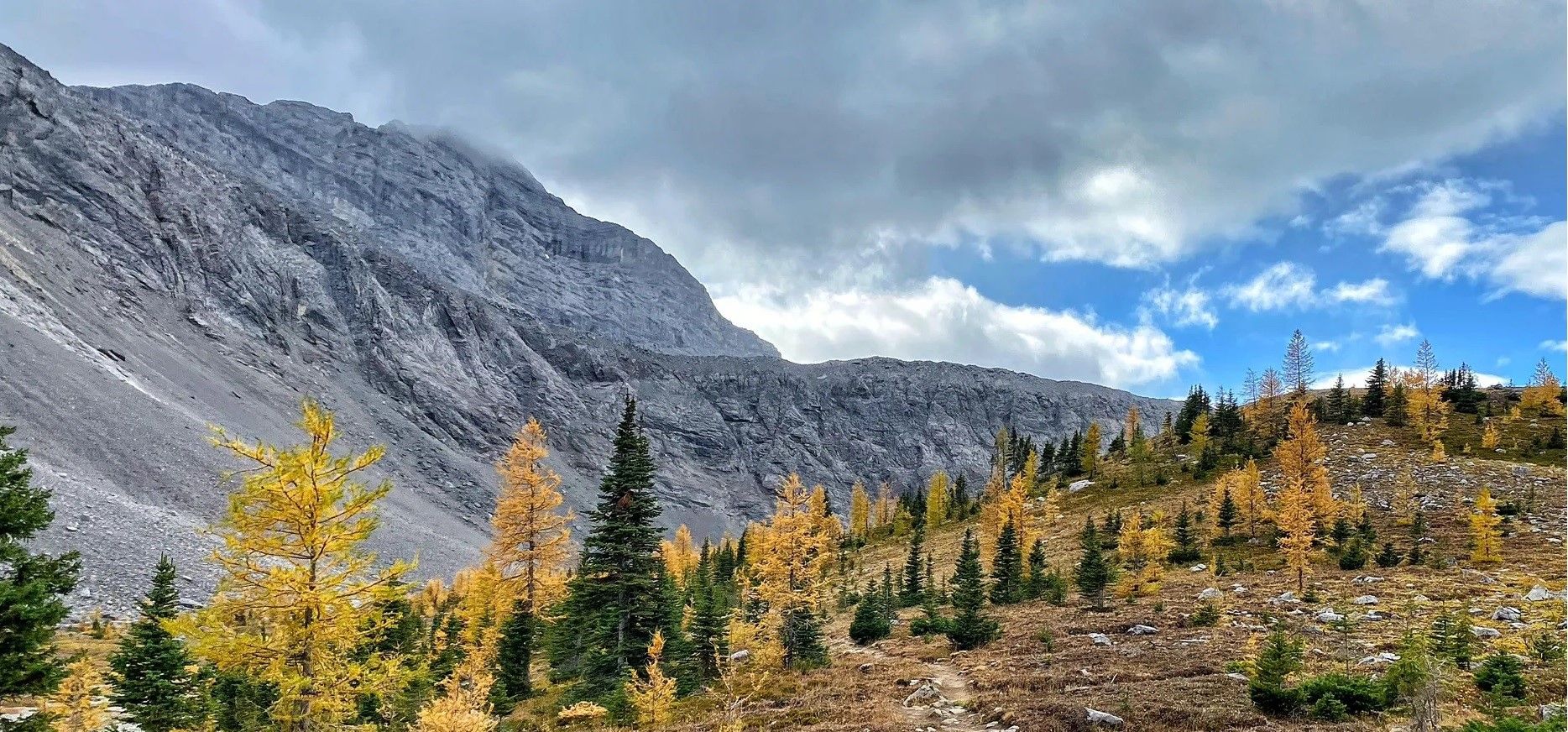 Buller Pass Trail | Canmore Kananaskis